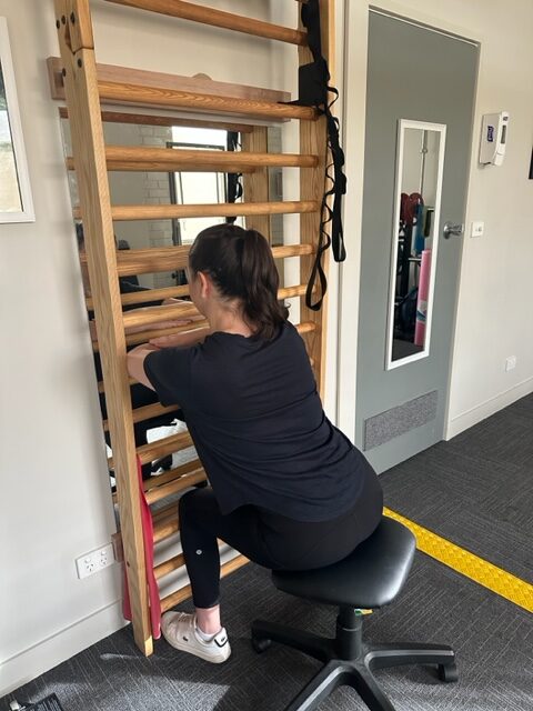 Schroth Method Best Practice - By Design Holistic Health